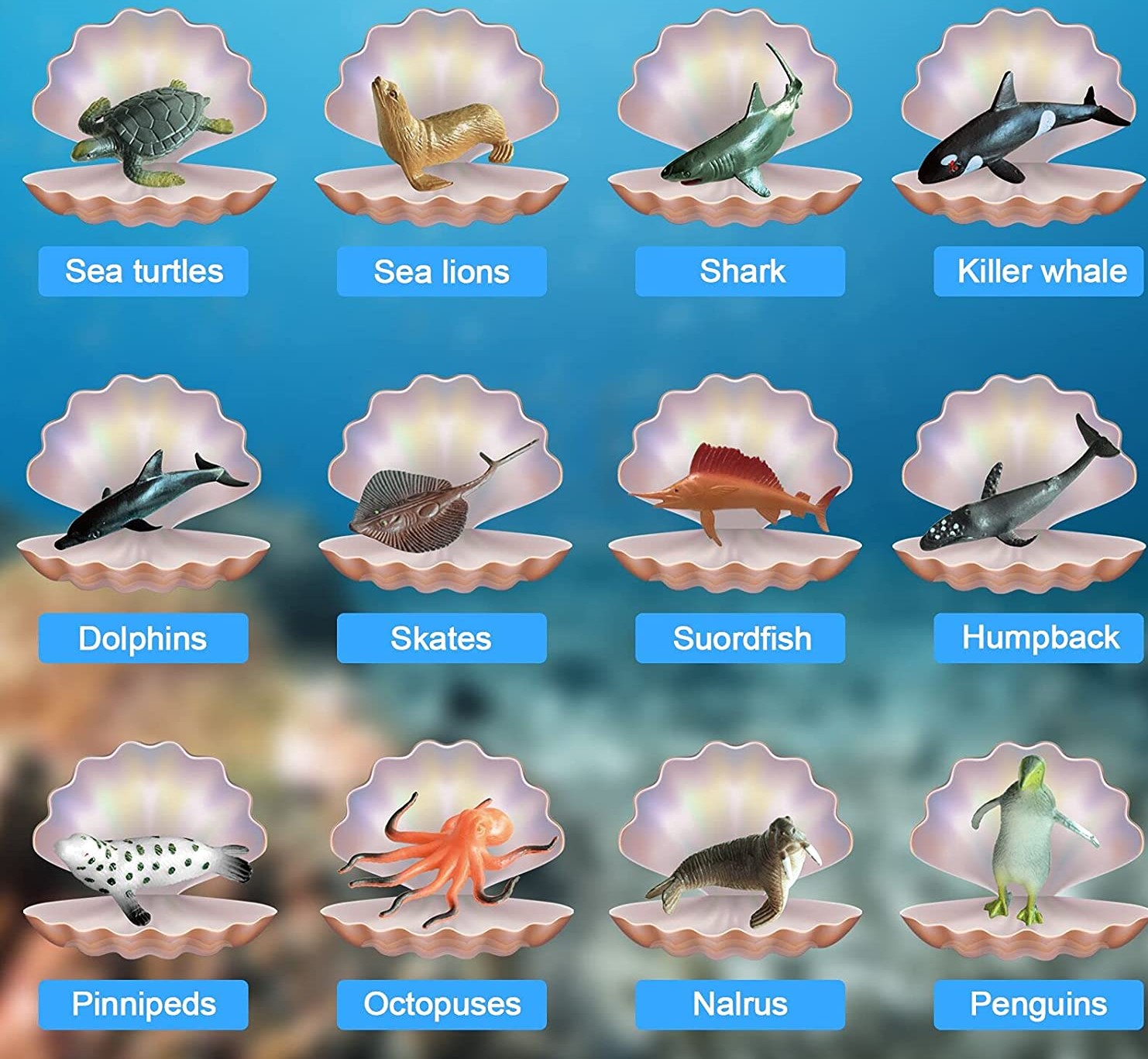 Homeschoolers – Worcester-Schenevus Library